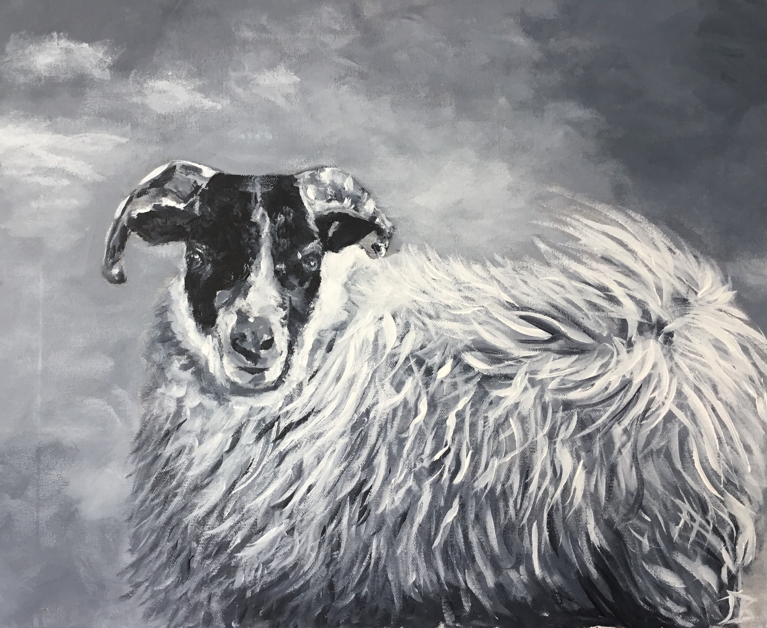 Gallery - Janet Bird Art