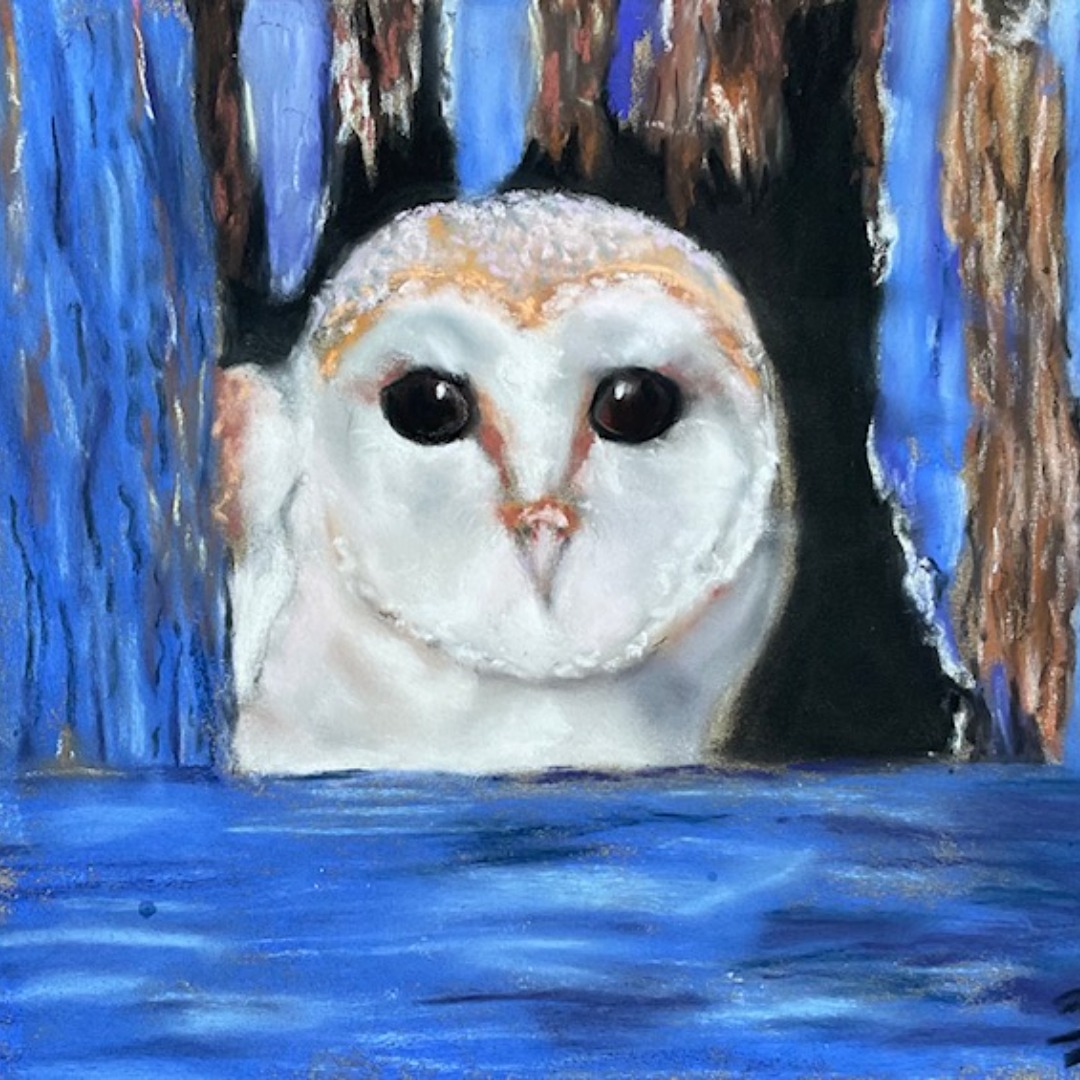 Original Art - Janet Bird Art